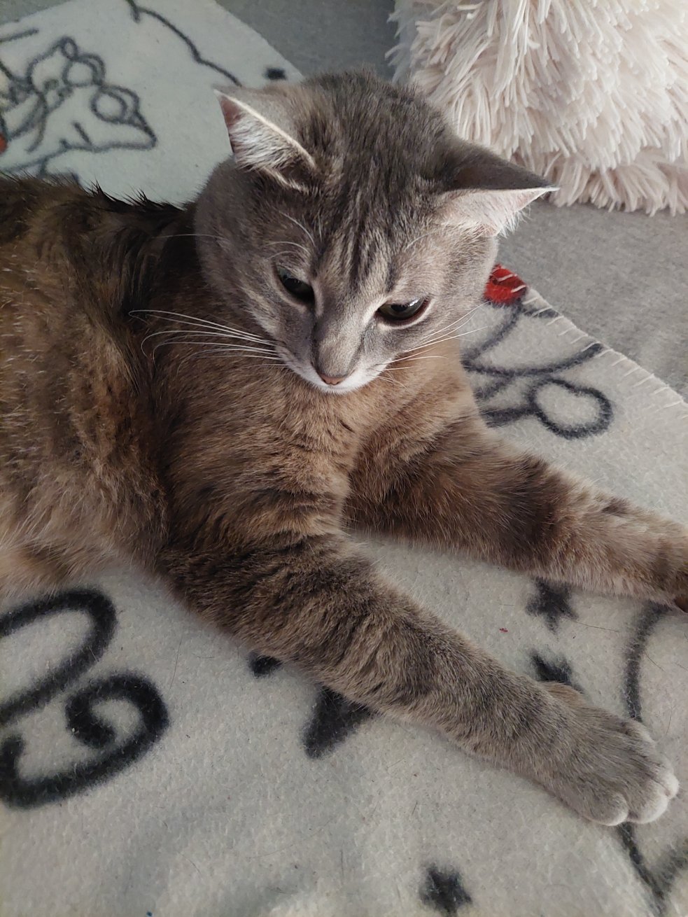 Tequila Works | Song of Nunu ️ (@TequilaWorks) / Twitter