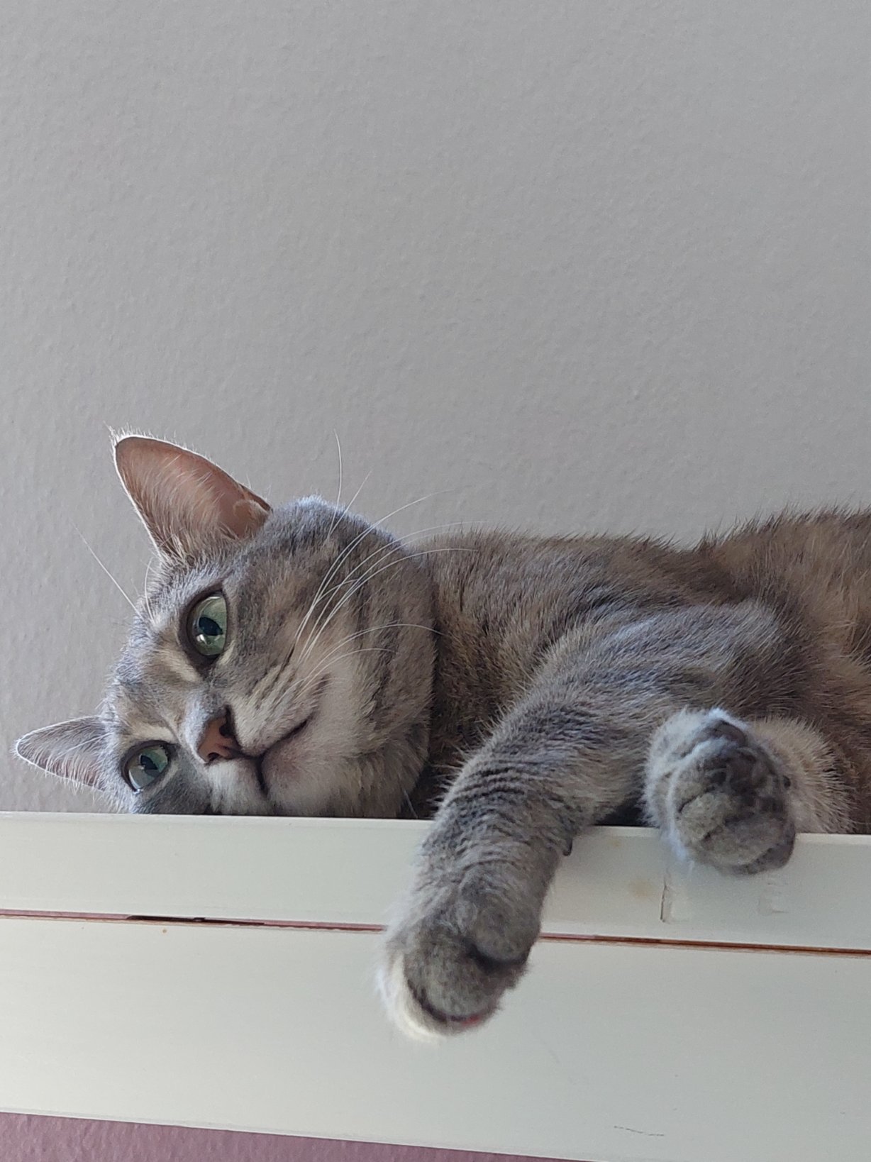 Tequila Works | Song of Nunu ️ (@TequilaWorks) / Twitter