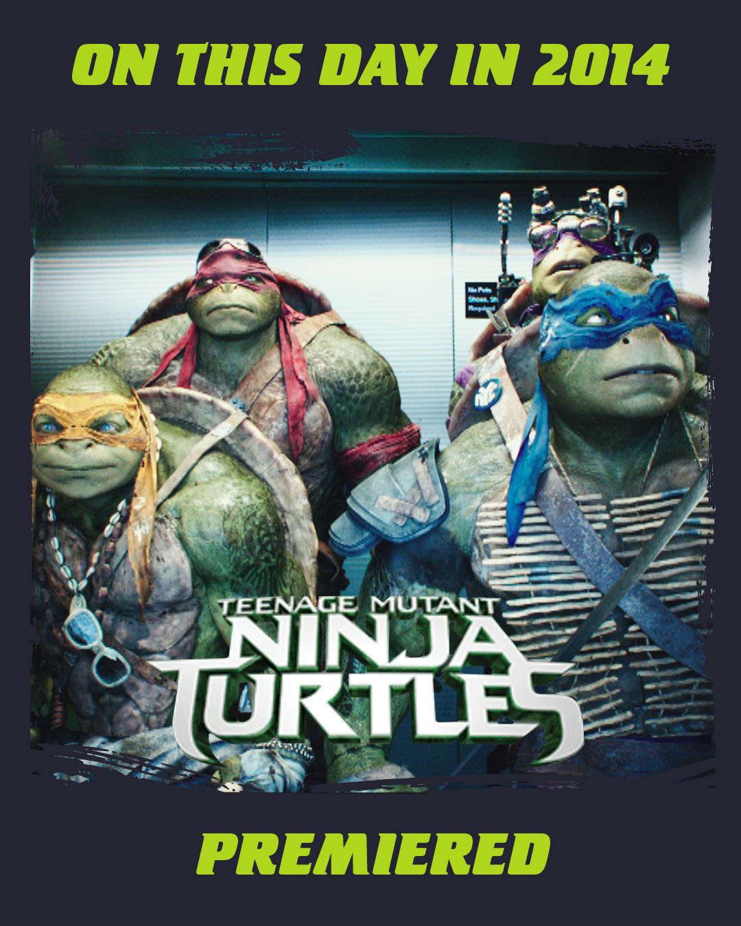 Teenage Mutant Ninja Turtles Movie Posters 2022