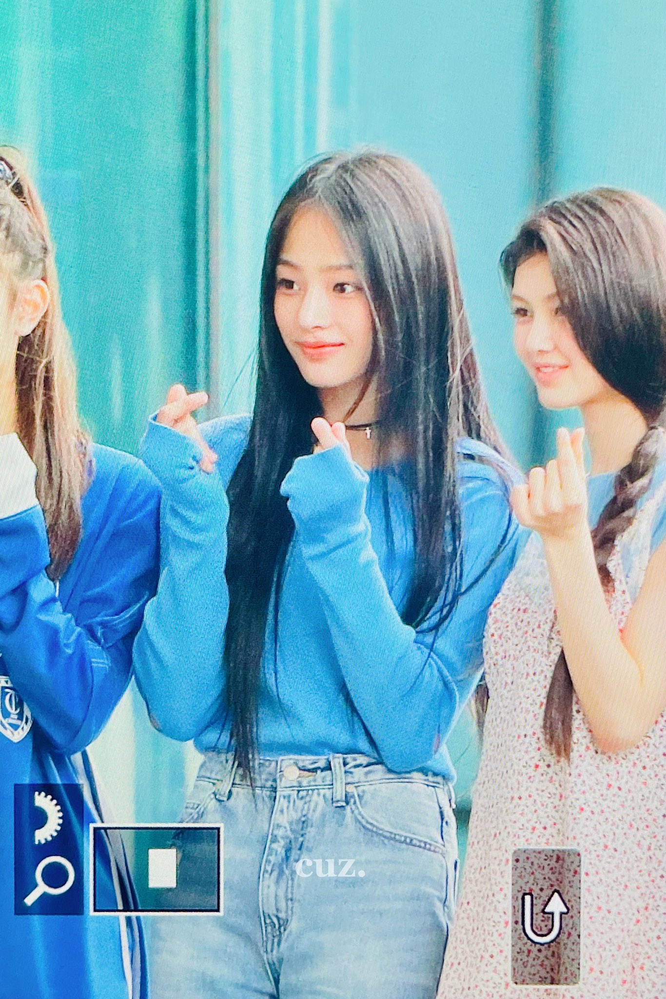 캣닢 (@New_catnip) / Twitter