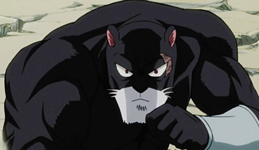 Fairy Tail Gajeel Cat