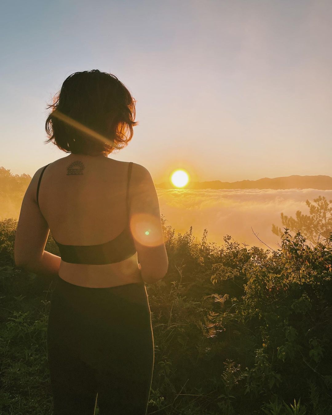 PH Discoveries (@PH_Discoveries) / Twitter