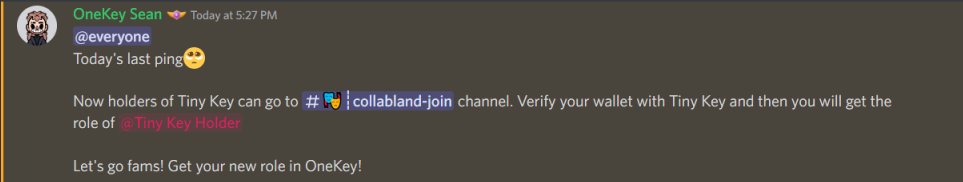 OneKey | We’re Hiring! 🔑 on Twitter: "Hop into our server to get your new role! https://t.co ...