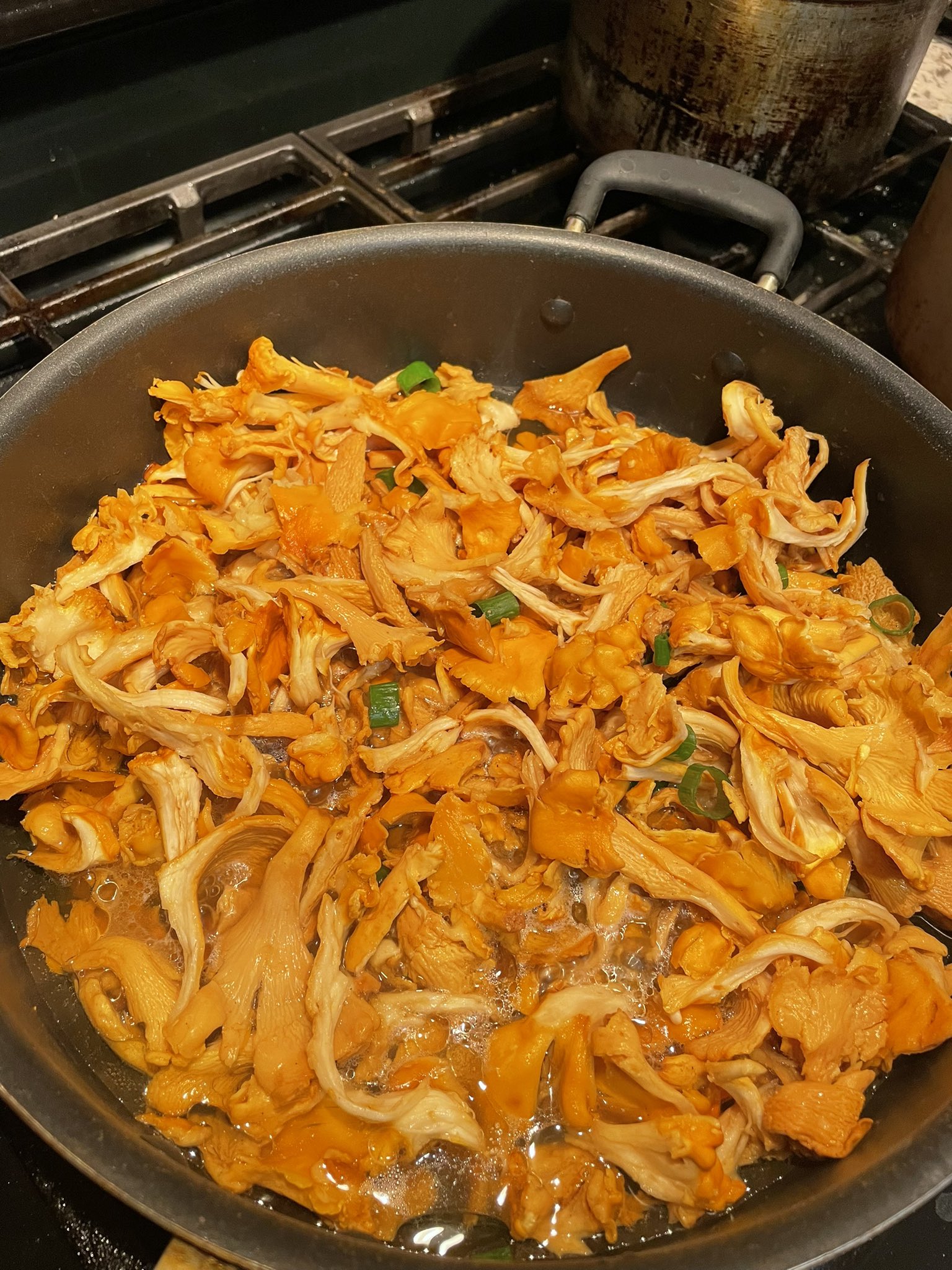 Dechun Feng on Twitter: "@runawayfromtheh 现在正是出鸡油菌的时间 https://t.co/gl8u3xDBuV" / Twitter