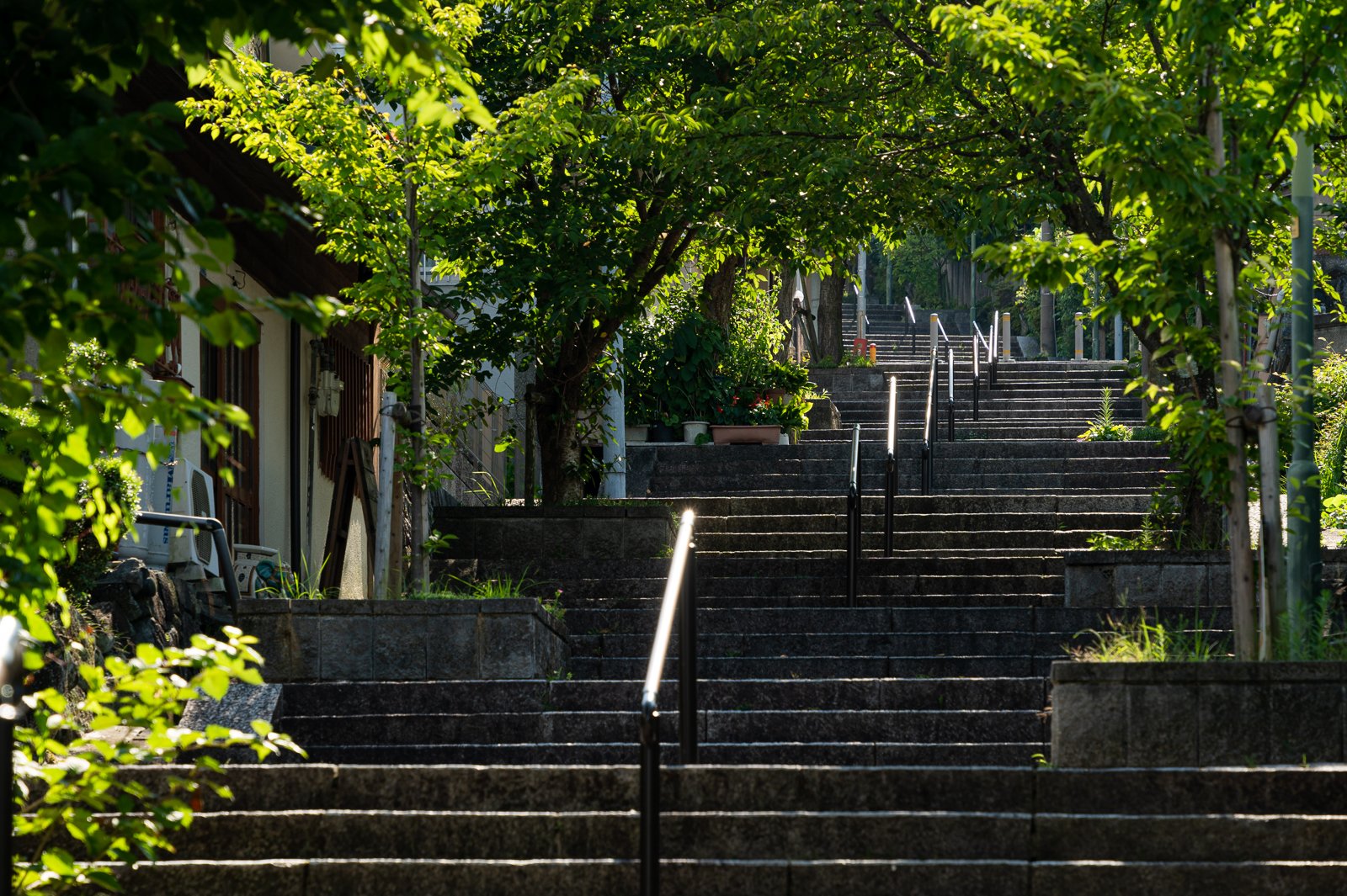 dokubutu on Twitter: "下ってきたのを後悔する 猛暑の帰り道。 https://t.co/PDkuUoUd6g" / Twitter