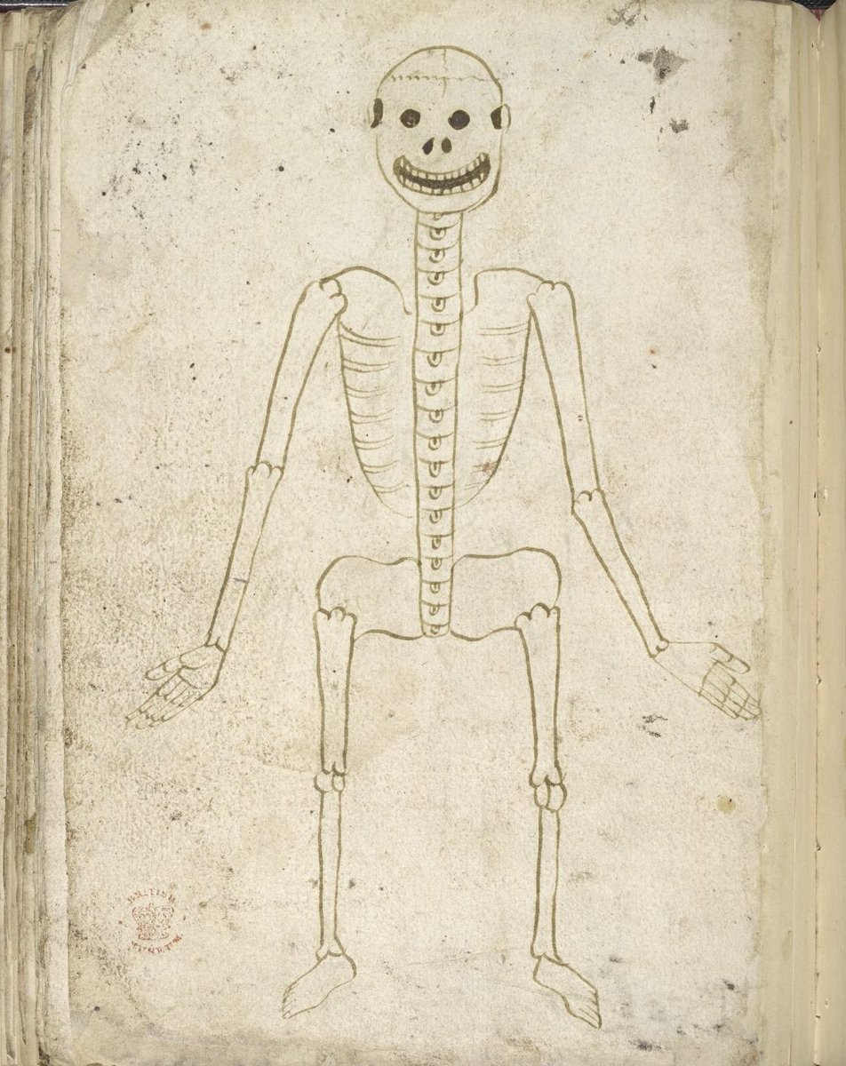 skeleton, england, 15th century - Thread from weird medieval guys BOOK ...