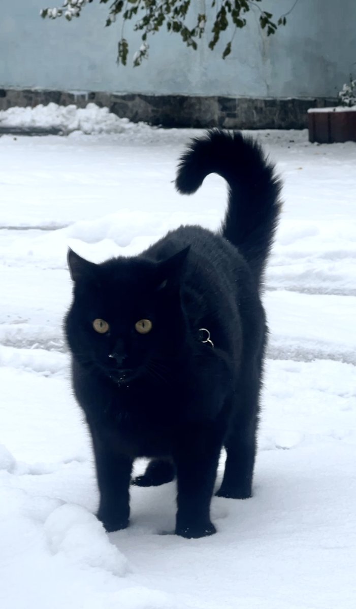 The last month has been a bit of a depressing one for Ukraine ...