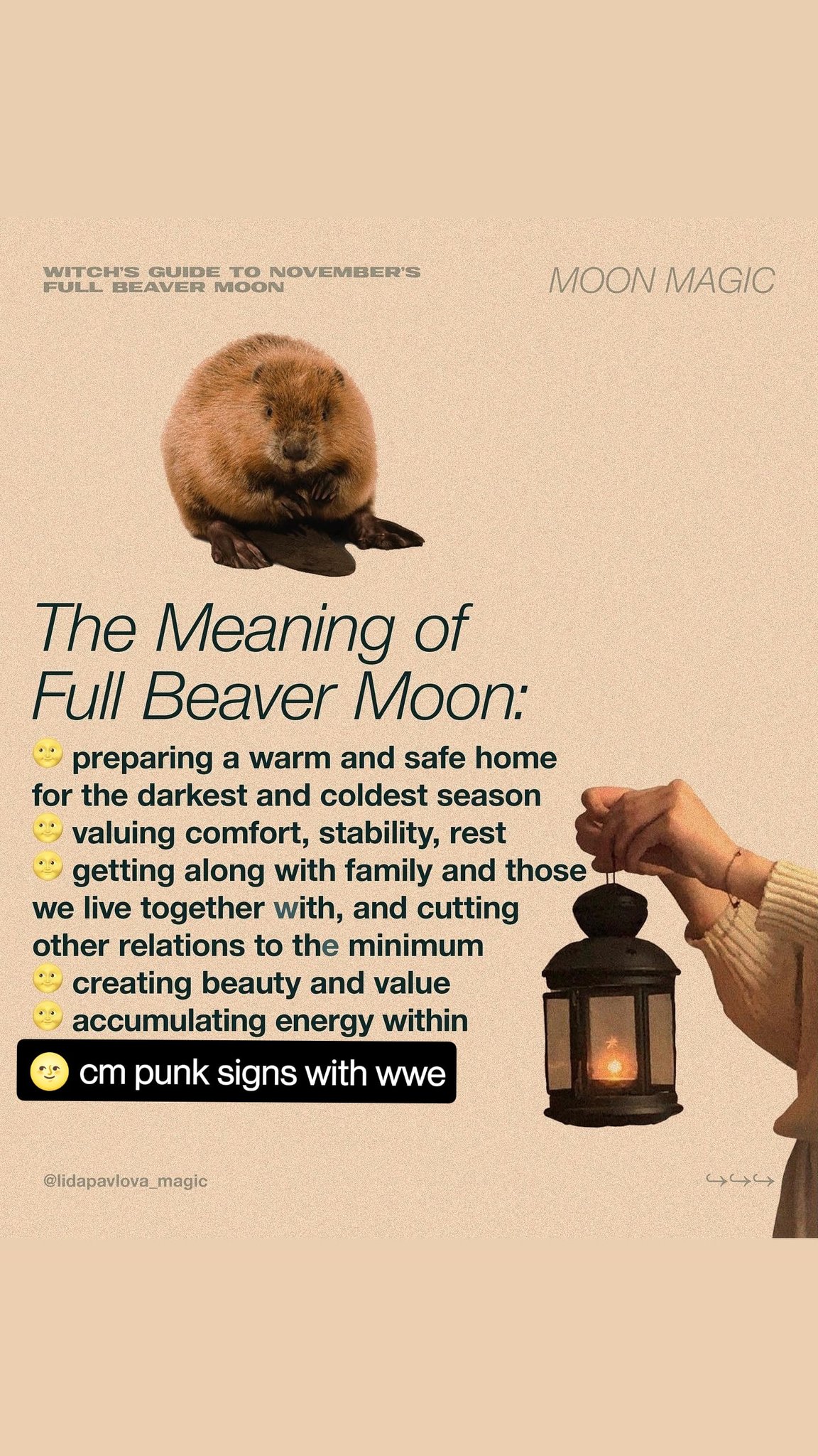 Beaver Moon Memes Beaver Moon' On November 15: All You Need To Know
