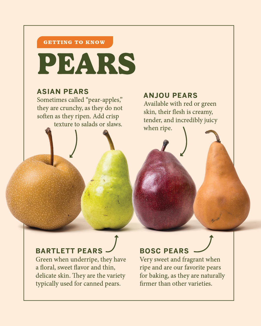 Red Pear Varieties