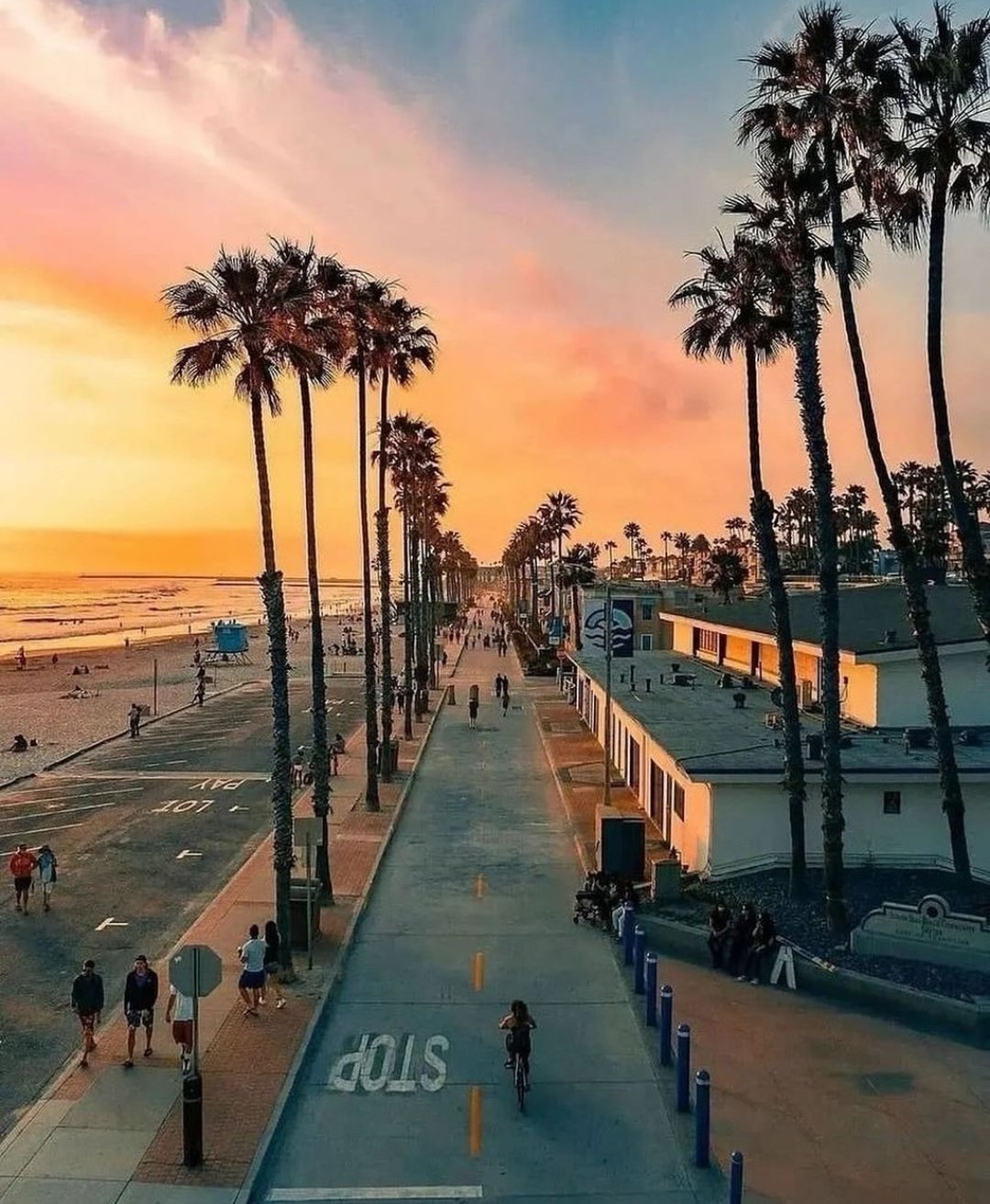 Los Angeles Beach Wallpaper LA Fires: The Architectural Gems Lost In