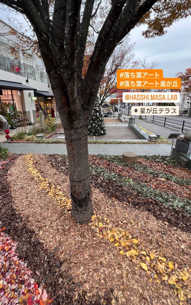 𣘺本雅好（ HASHIMOTO Masayoshi）(@hasshi_masa) - Twilog