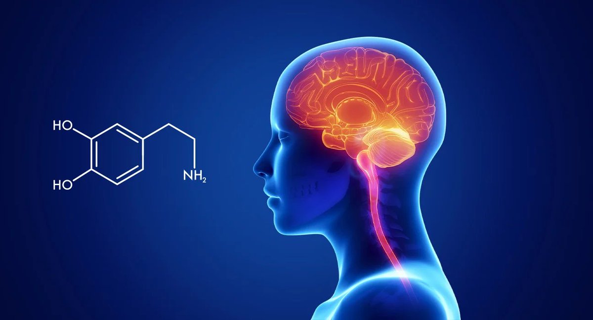 Dopamine 🆚 Serotonin Here's how to manage BOTH for a fulfilling life ...
