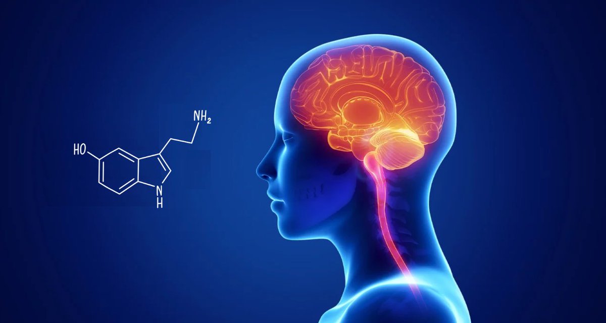 Dopamine 🆚 Serotonin Here's how to manage BOTH for a fulfilling life ...