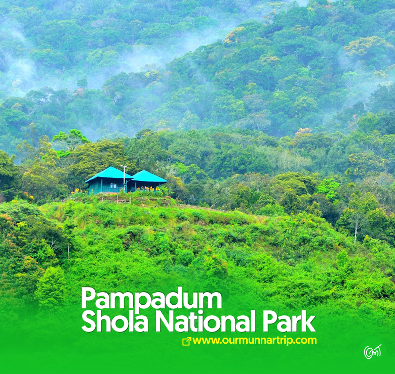 Pampadum Shola National Park