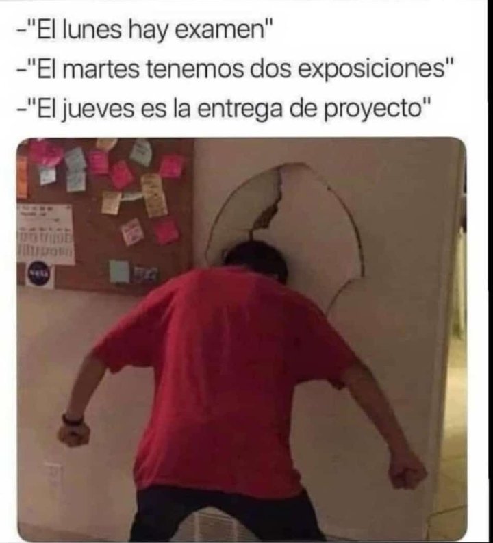 Memes Para Expociciones
