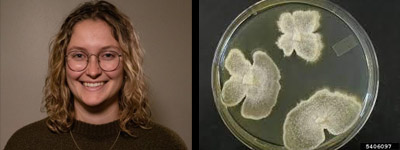 Kelsey Tobin's Instagram, Twitter & Facebook on IDCrawl