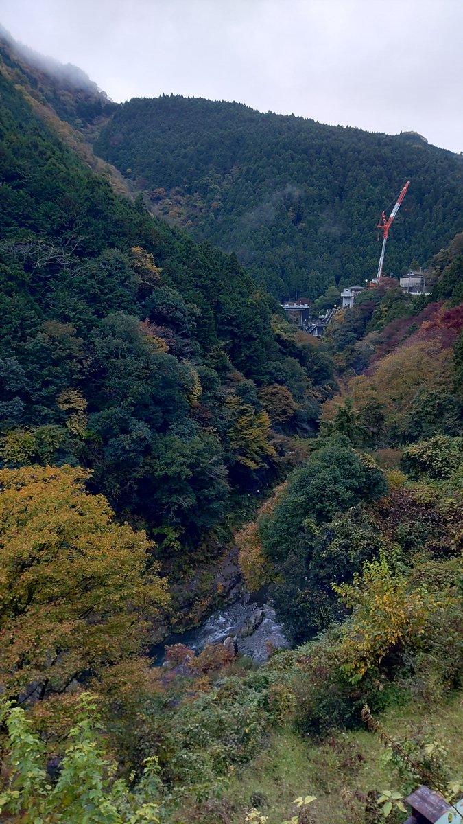 きろま(@PseudoMatagi) - Twilog