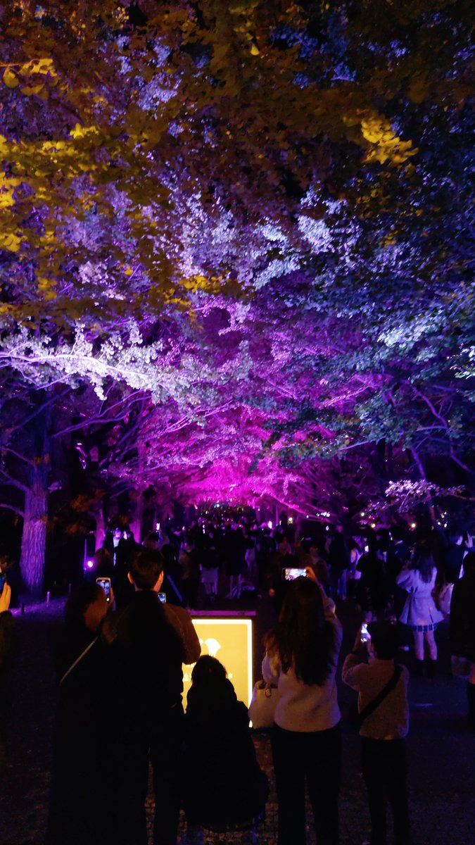 きろま(@PseudoMatagi) - Twilog