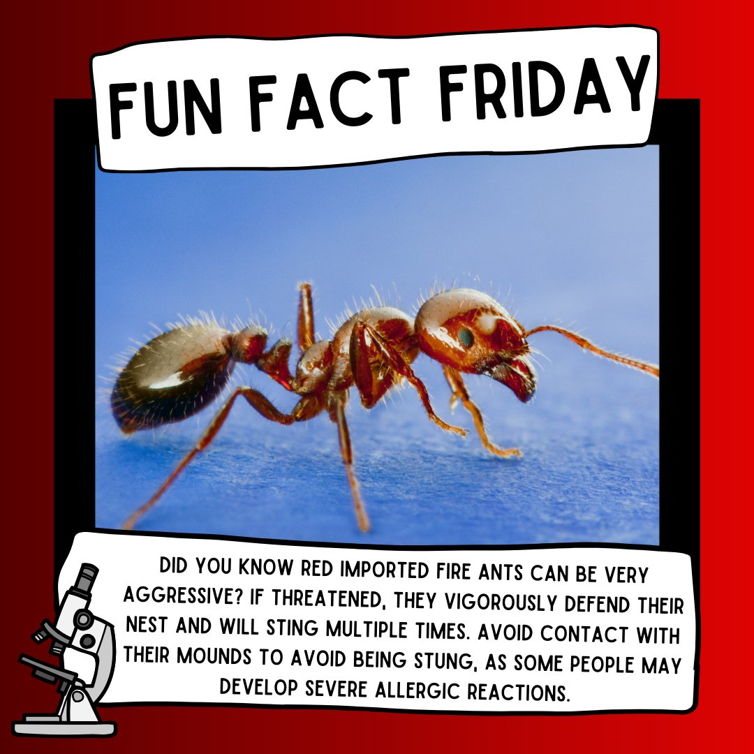 Fire Ants Memes