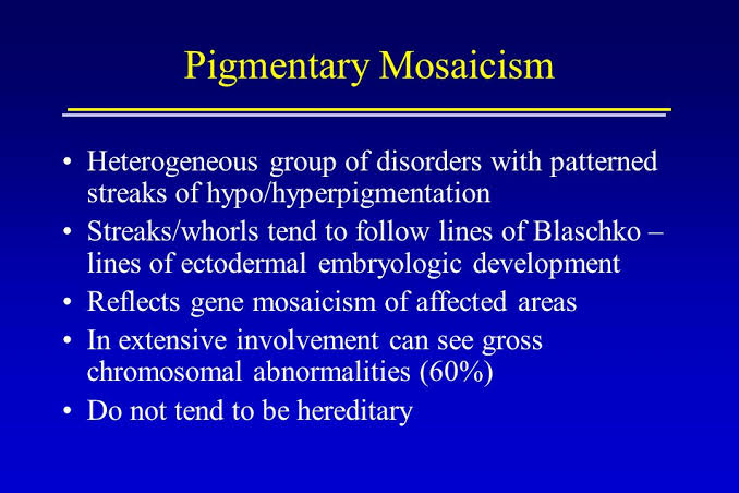 Mosaicism Definition Mosaic Rhyme Definition And Examples Poem