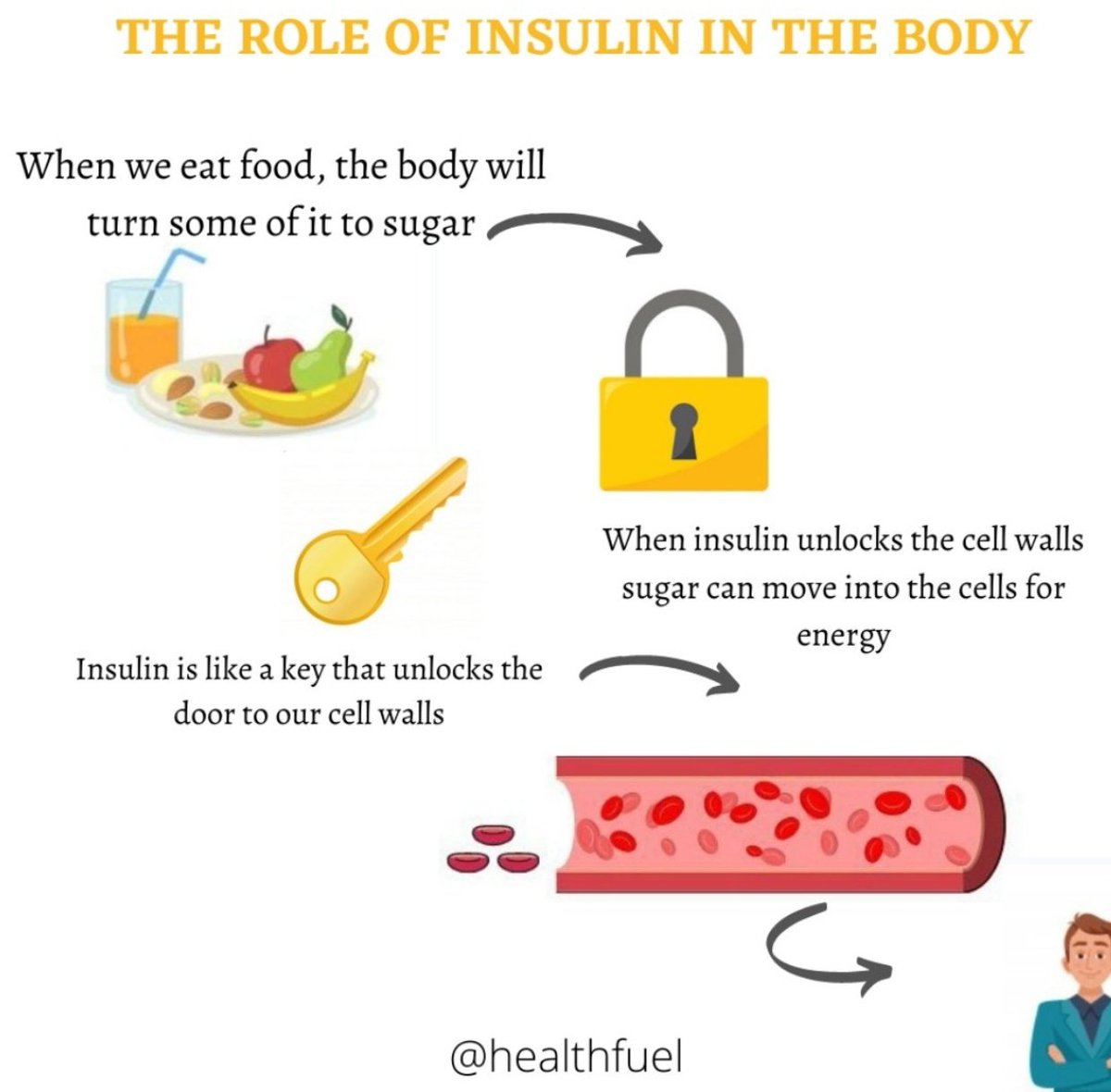 Insulin resistance(IR) Insulin resistance is when,ur cells stop ...