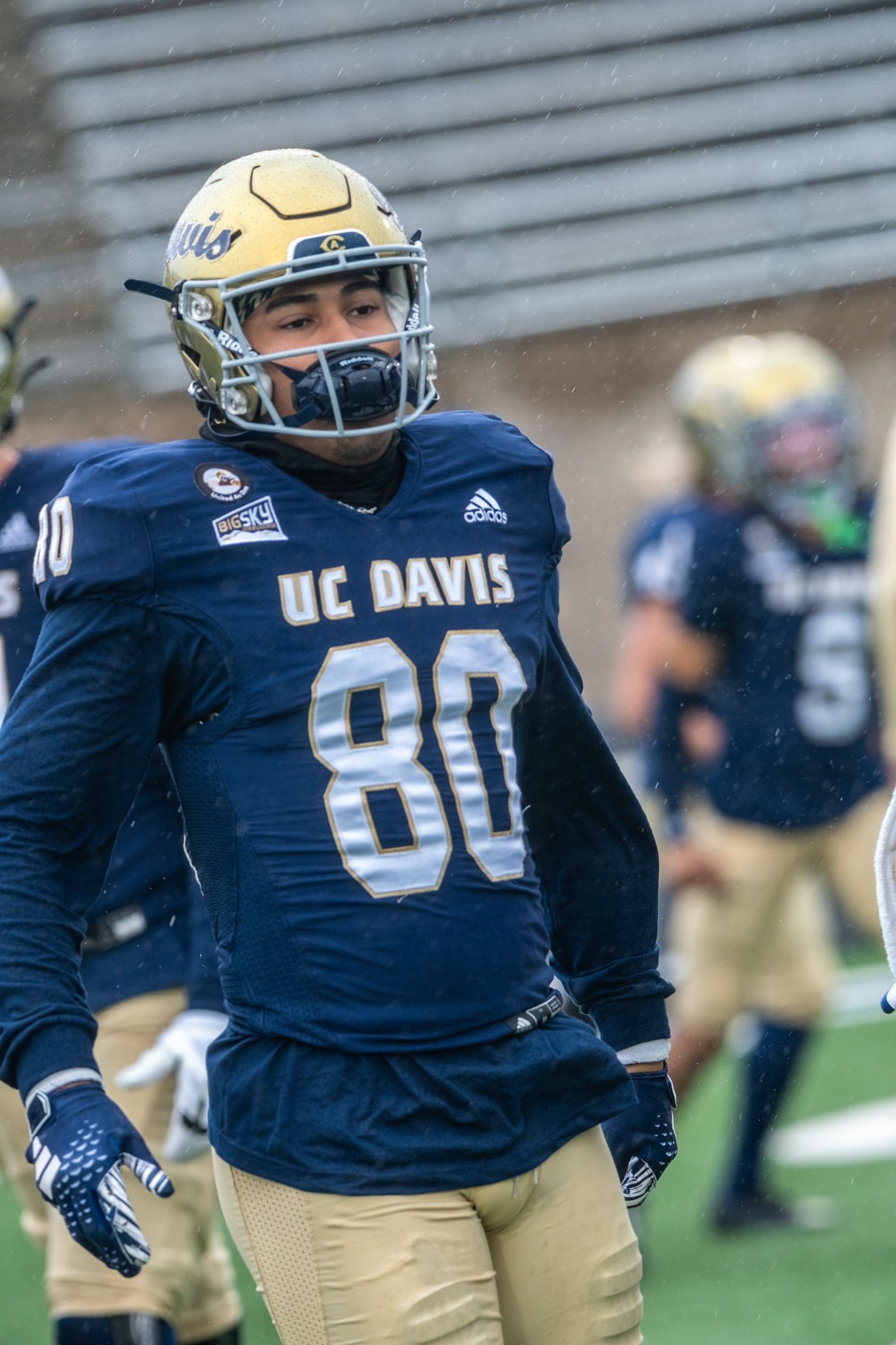Uc Davis Football