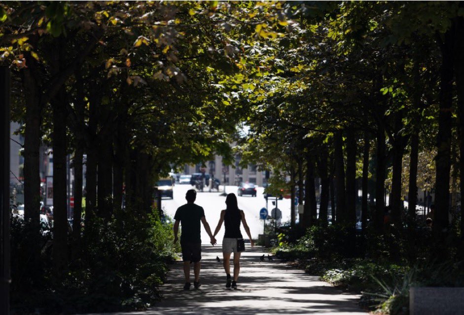 きまぐれ手記(@kimagurenote) - Twilog (ツイログ)