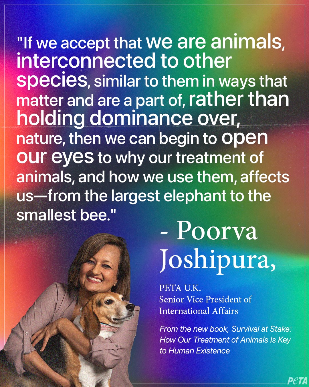 Interconnected Quotes 30 Insightful Quotes On Racism And Racial