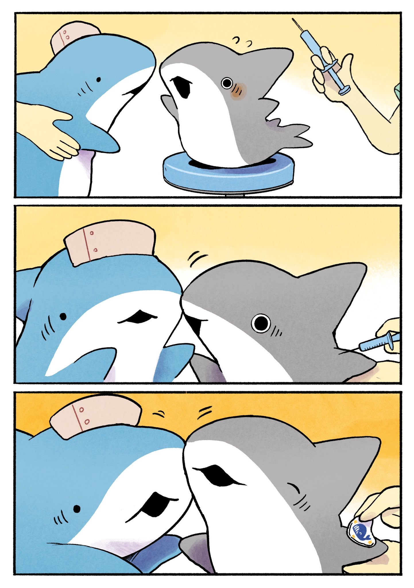 ペンギンボックス@子ザメ6巻&映画化 on X: ペンギンボックス@子ザメ6巻&映画化 on X: