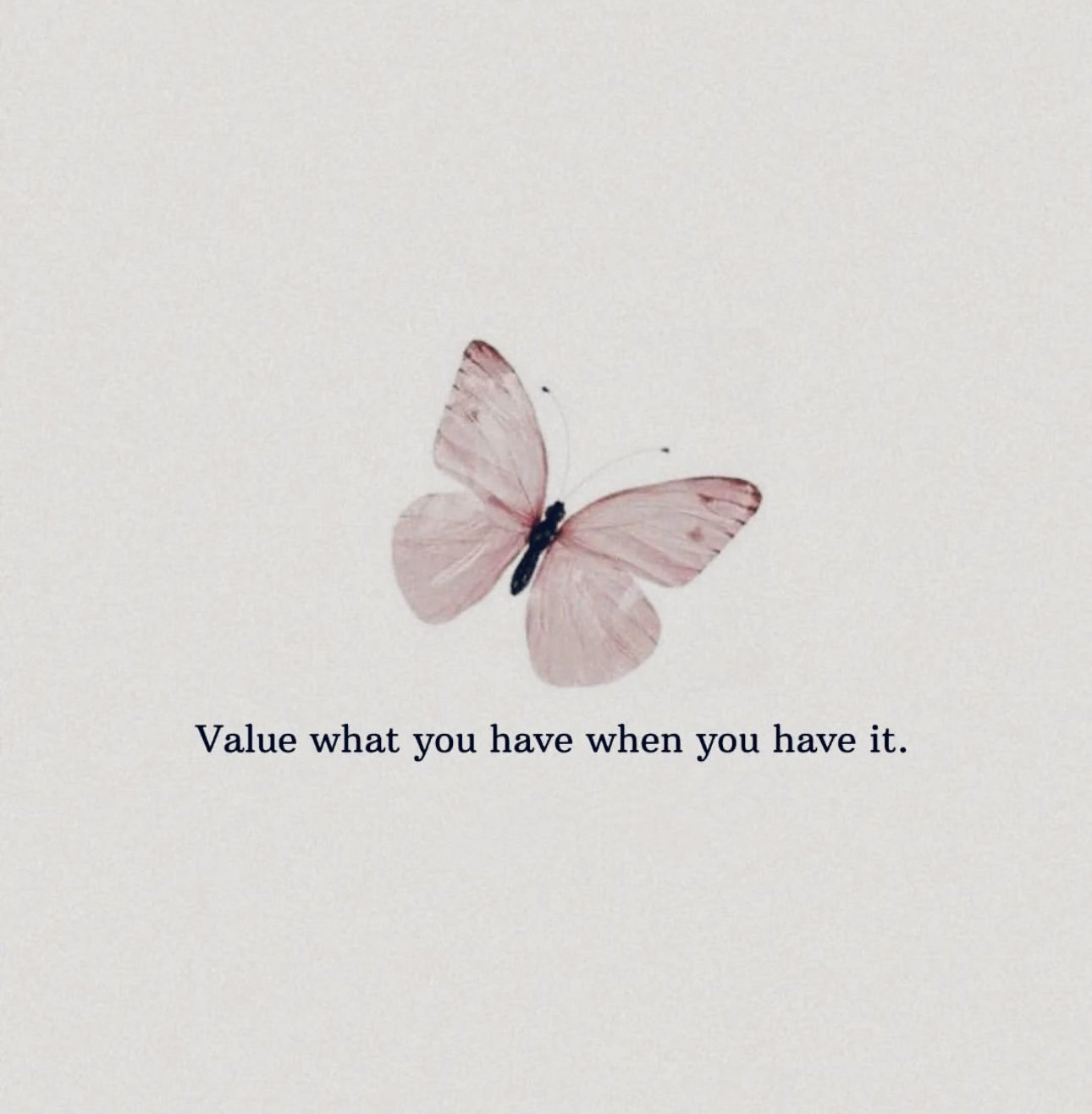 Ciara Tumblr Quotes Stream Ciara Bergin Music | Listen To Songs,