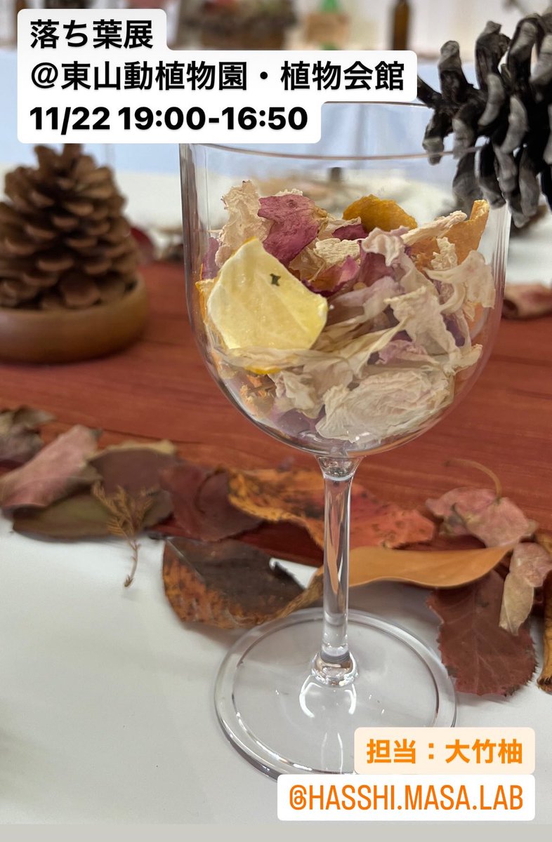 𣘺本雅好（ HASHIMOTO Masayoshi）(@hasshi_masa) - Twilog