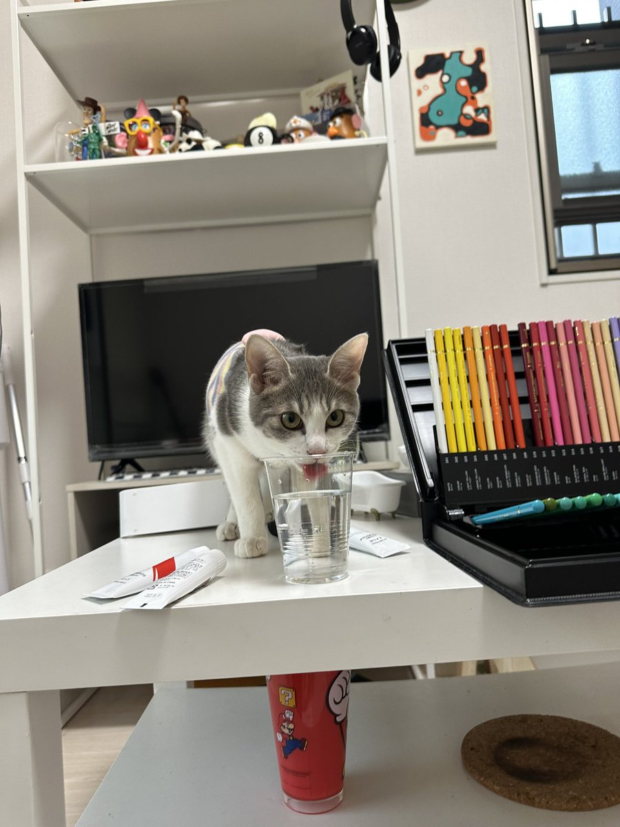 Mayuri(@mayurinn0319) さんの裏垢画像・動画 – 裏垢女子ランキングナビ