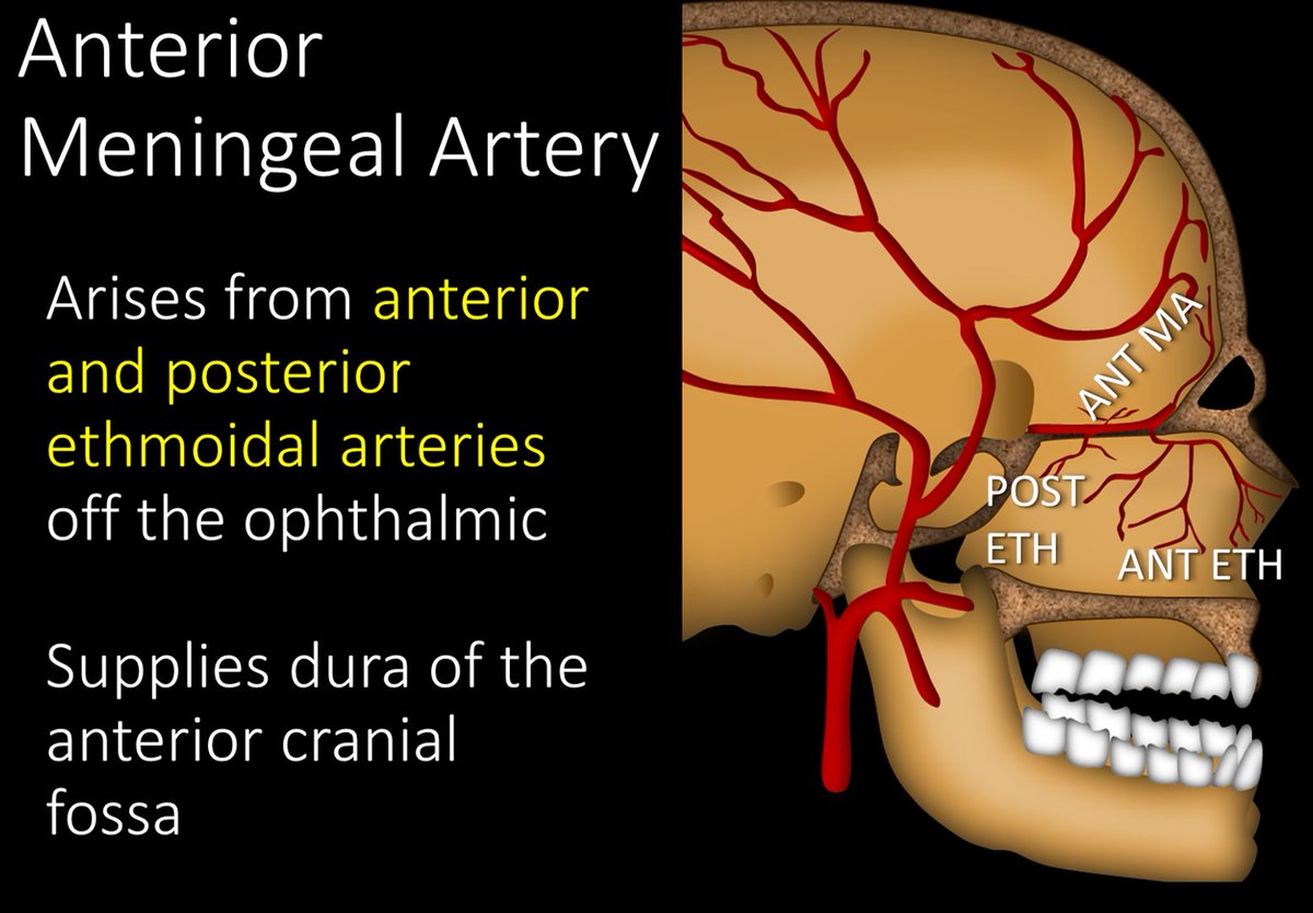 1/Ready for a throw down?! Everyone knows about MMA fights... But do ...