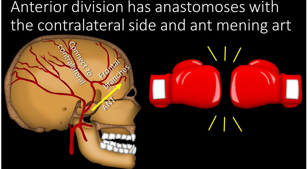 1/Ready for a throw down?! Everyone knows about MMA fights... But do ...