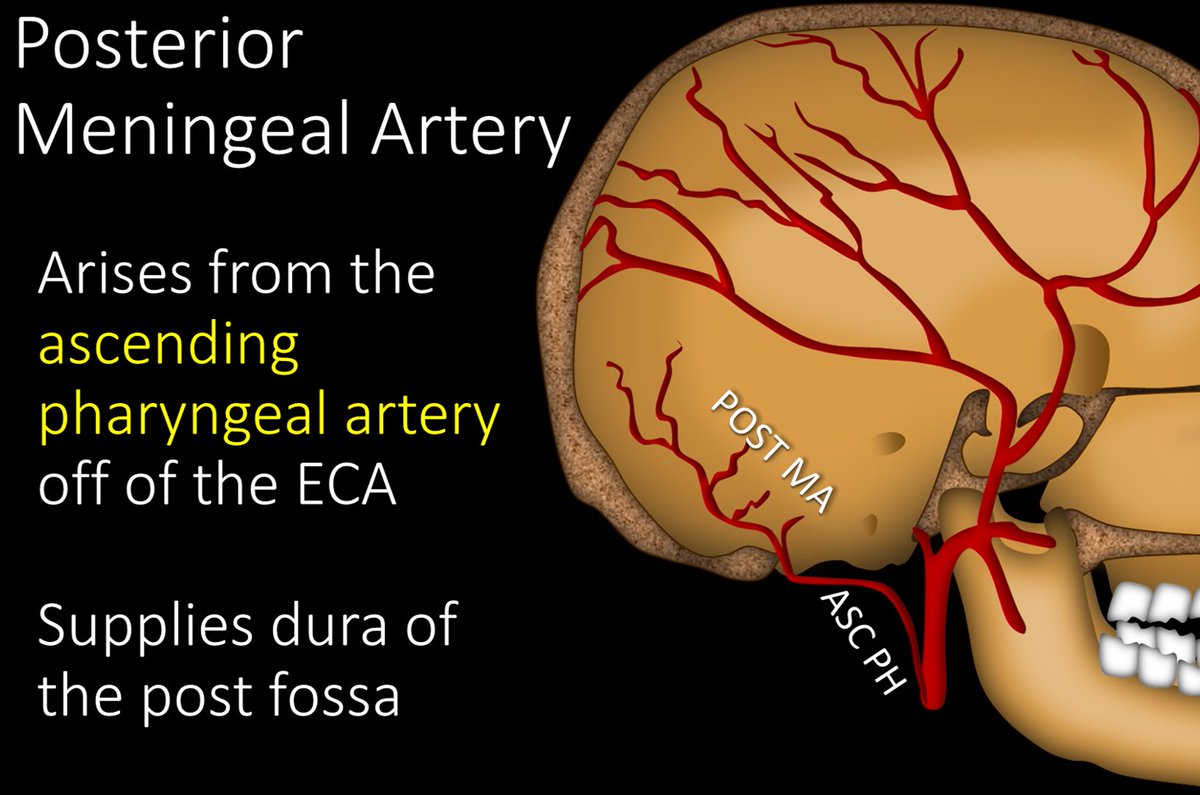 1/Ready for a throw down?! Everyone knows about MMA fights... But do ...