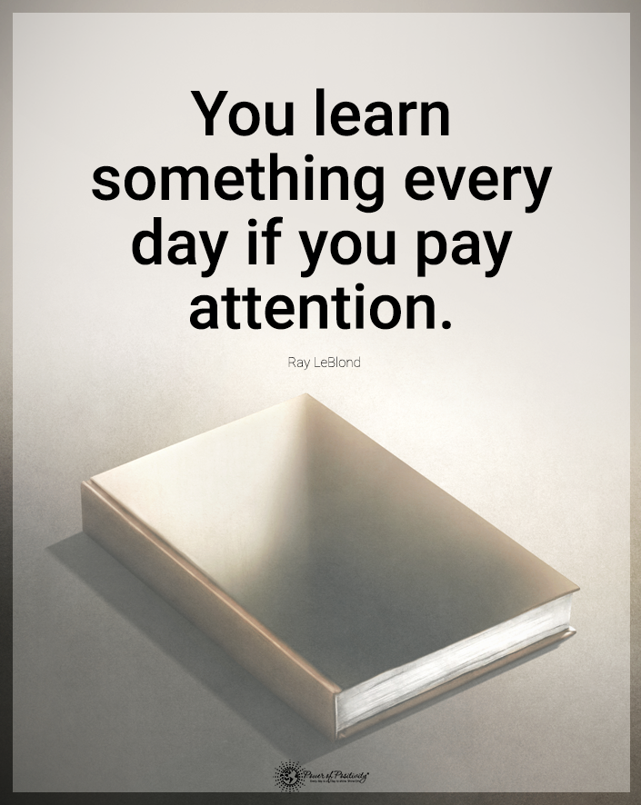 You Learn Everyday Quotes Wall Decals For Classroom Decor Vinyl And