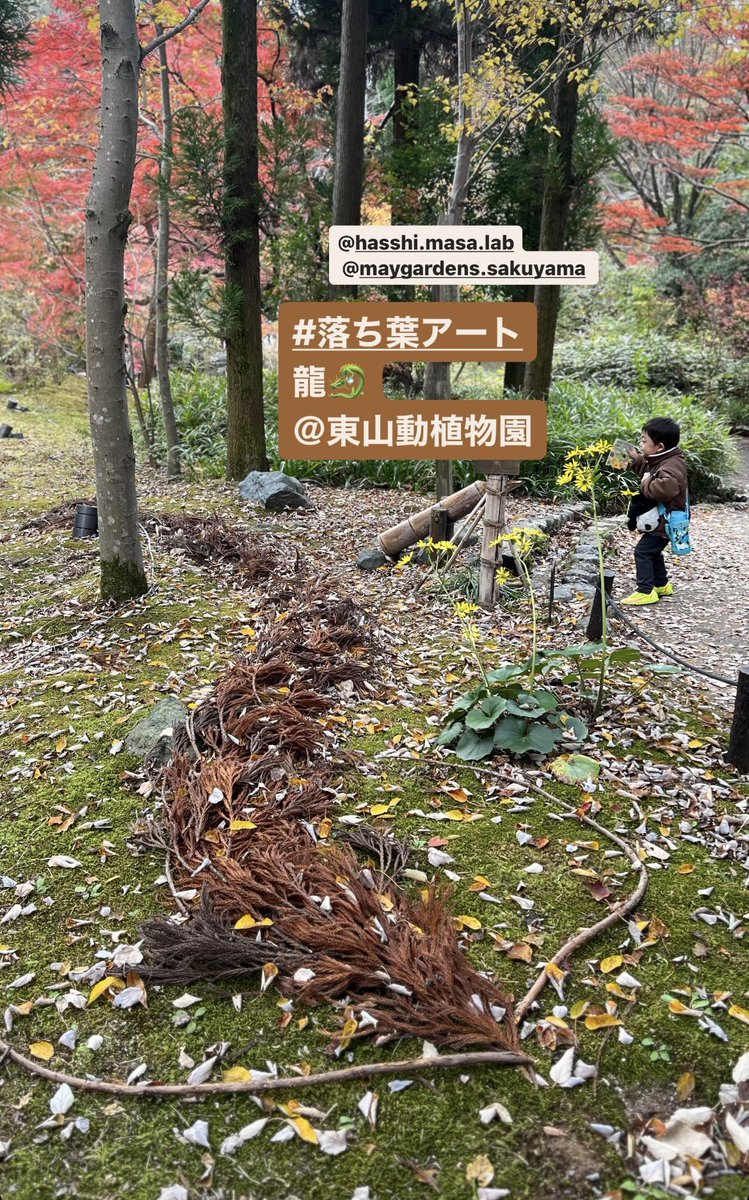 𣘺本雅好（ HASHIMOTO Masayoshi）(@hasshi_masa) - Twilog