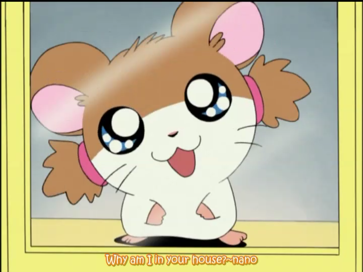 Hamtaro Sparkle Aflevering Sparkle | Honkai Star Rail Database Wiki