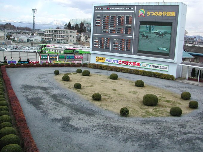 ぎりこ( ˙-˙ )(@gilico_photo) - Twilog