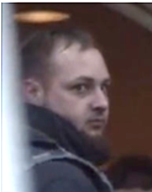 Daniel Tocci's Instagram, Twitter & Facebook on IDCrawl