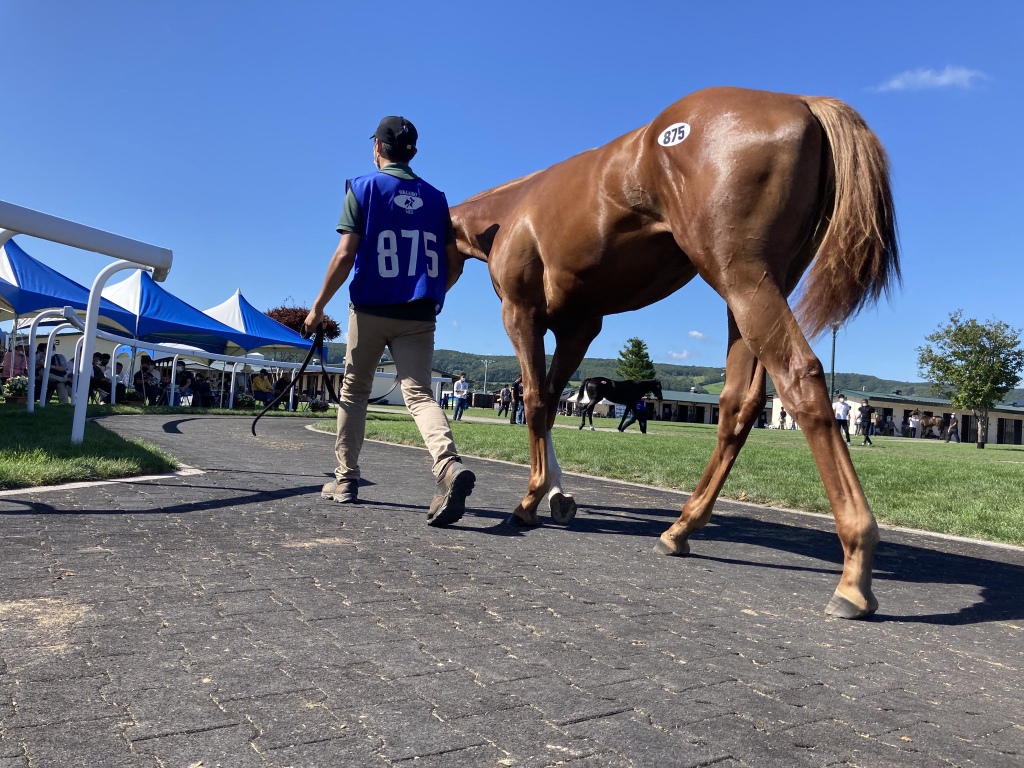 Ryosuke Fujisawa on Twitter: "そろそろよ https://t.co/GWofH9GZhS" / Twitter