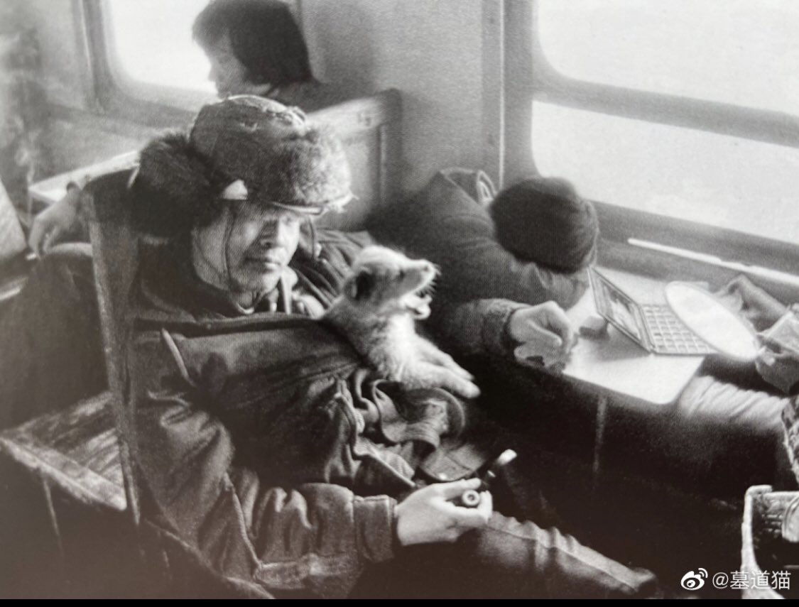 Animals on train, China. 1980s. Carl Zha @carlzha