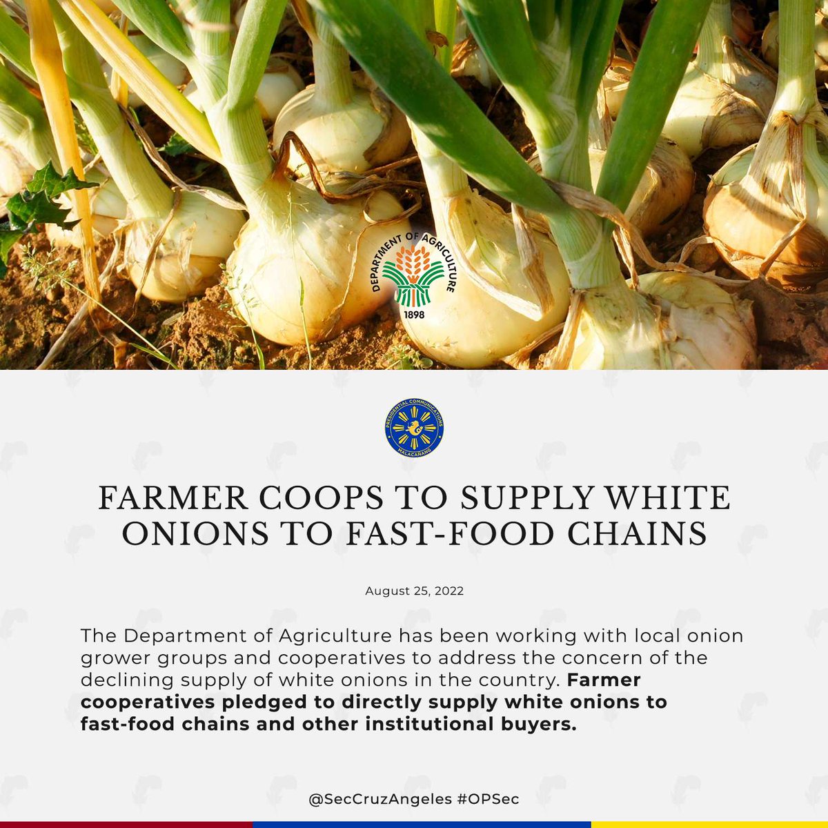 Philippine News Agency on Twitter: "RT @SecCruzAngeles: Patuloy ang konsultasyon ng Department ...