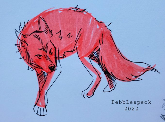 Pebblespeck@Pebblespeckのイラスト