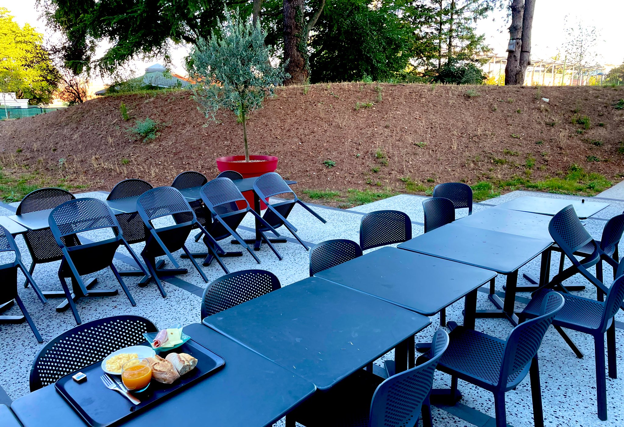 takera｜SNB on Twitter: "ホテル朝食 やっぱフランスパンだし、オレンジが生搾りなのすげえ https://t.co/3KuJFY3LQL" / Twitter