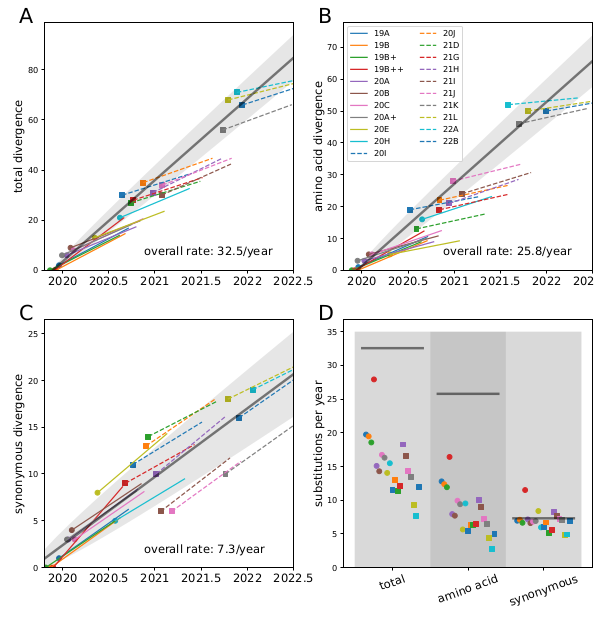 Since its emergence in late 2019, #SARSCoV2 has diversified into ...
