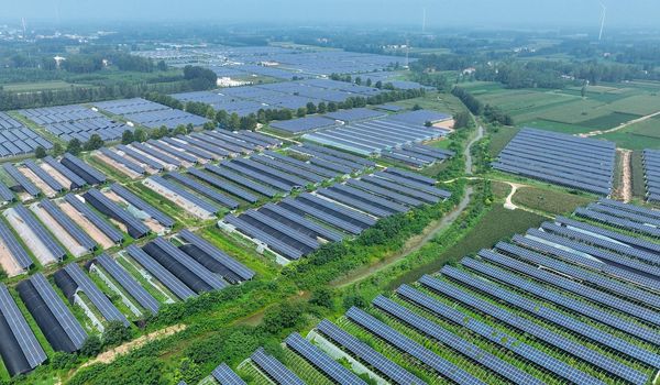 Solar power generation+farming: With crops growing under solar panels ...
