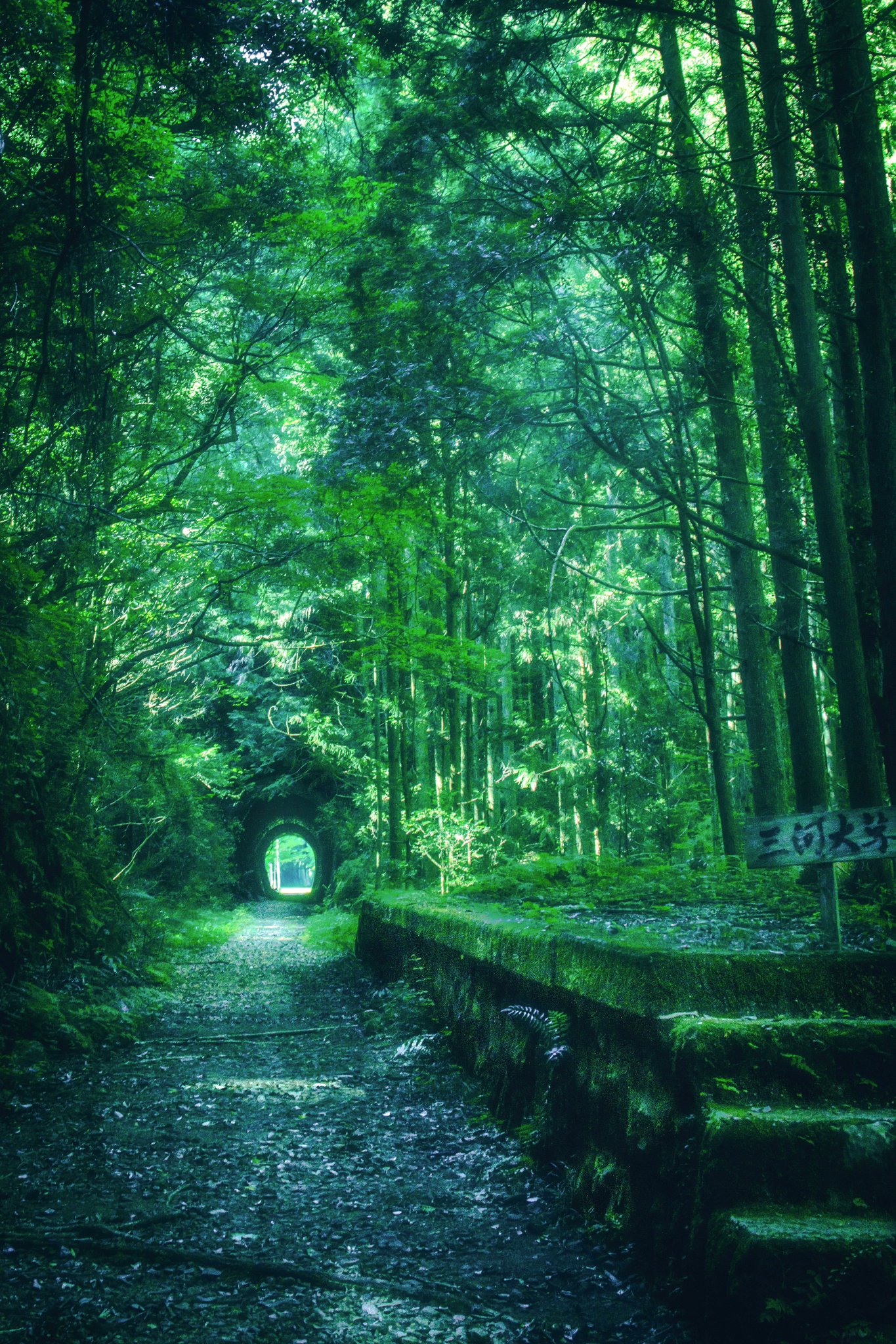 Kanata on Twitter: "異世界に迷い込んだ夏の午後。 https://t.co/lZuEnwa9iD" / Twitter