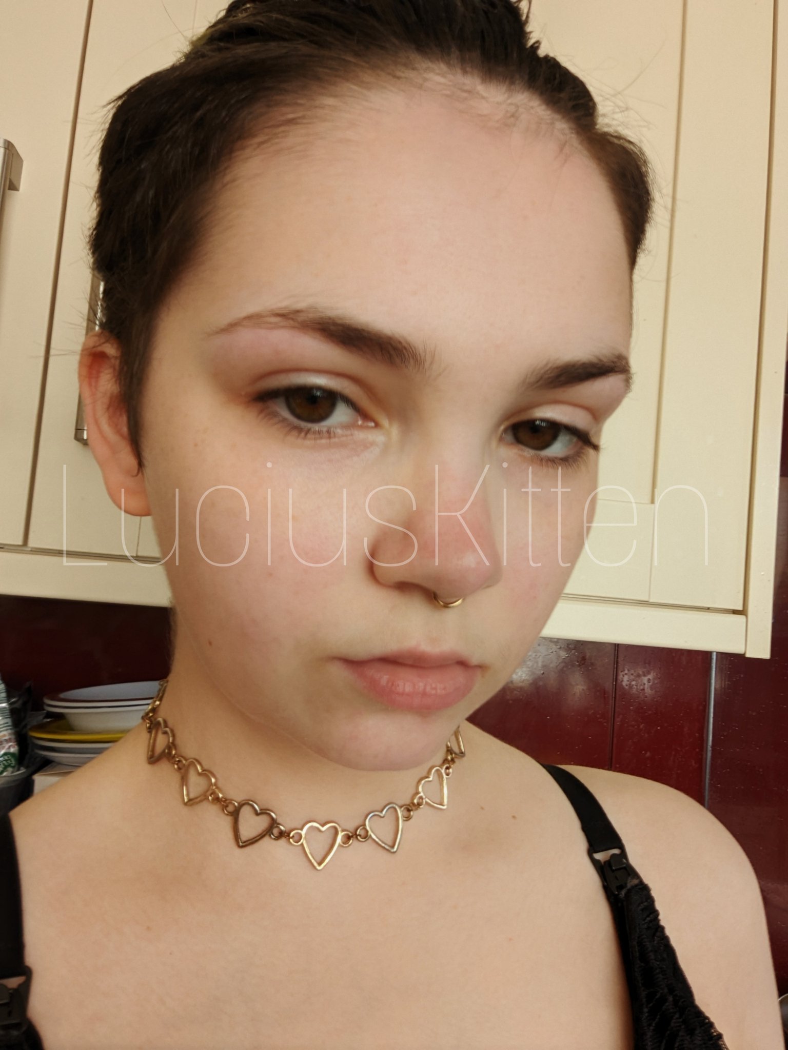 Tw Pornstars Luciuskitten Twitter Felt Cute When Getting Ready To