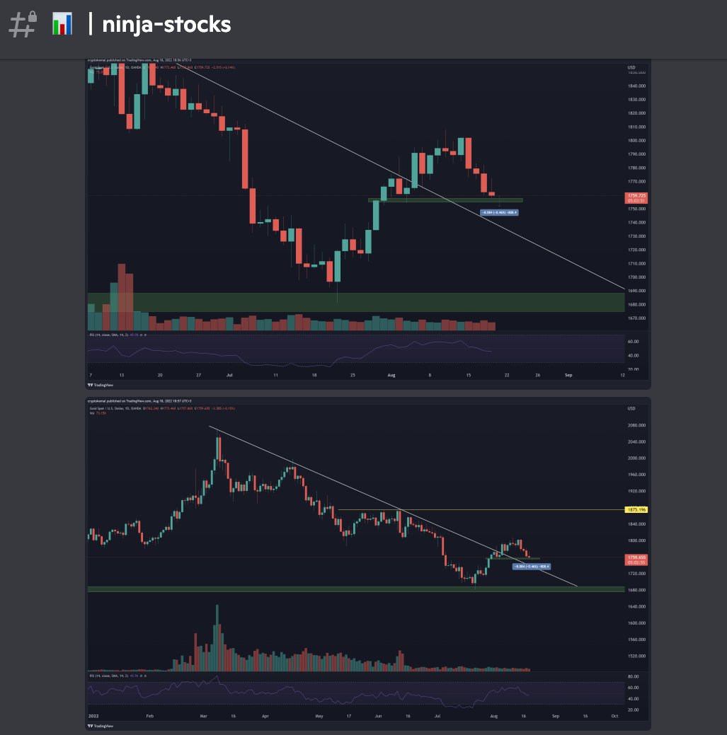 Ninja Squad NFT on Twitter: "Hi Ninjas!🥷 After teaming up with @PrimeXBT, we started a new ...